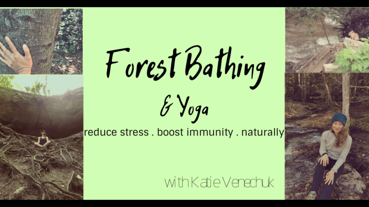 Forest Bathing and Yoga Workshops – World Maps & Yoga Mats
